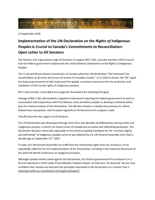 Implementation of the UN Declaration on the Rights of Indigenous ...